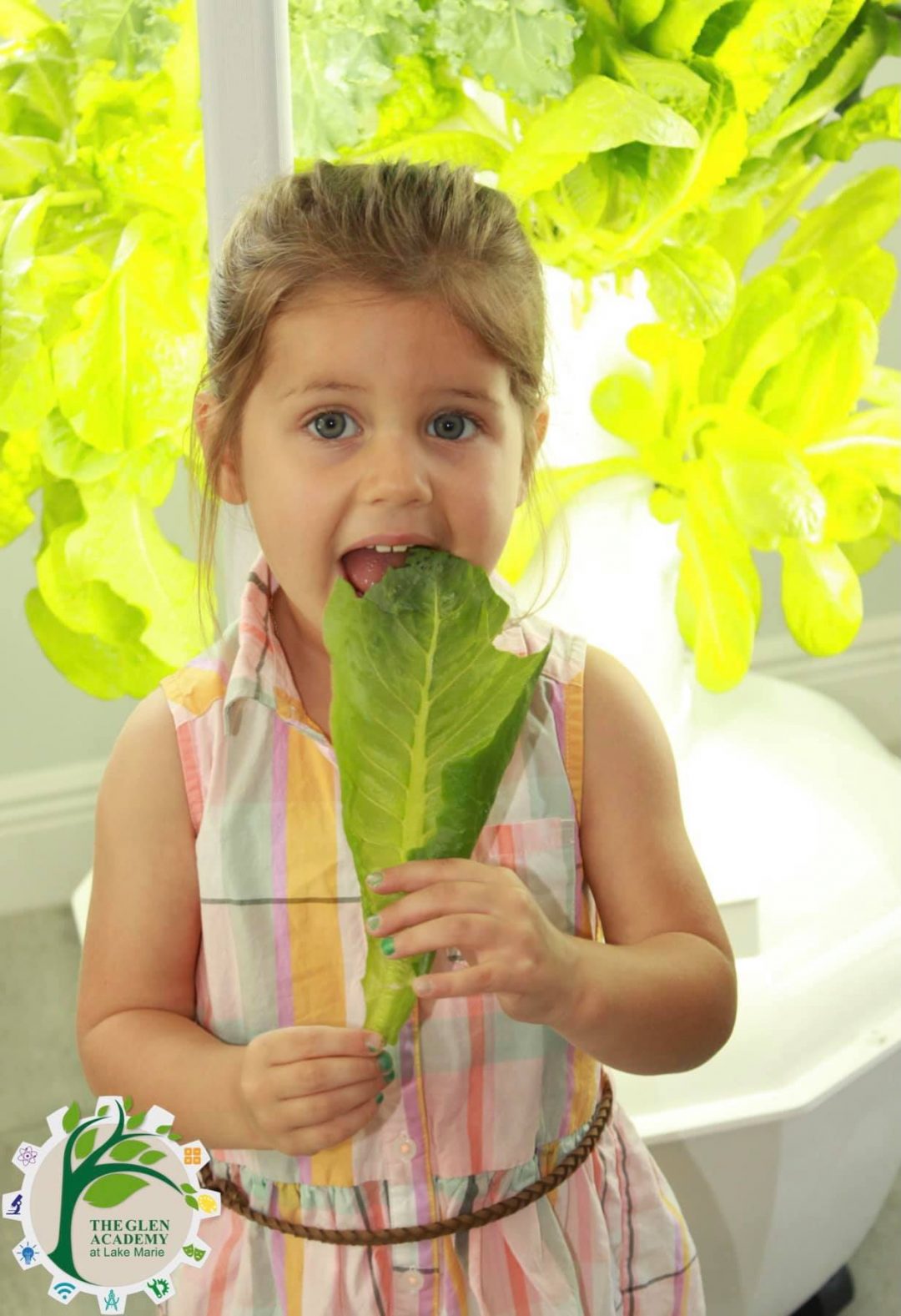 What is the Crucial Role of Early Childhood Education in Nurturing ...